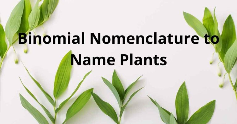 Why is Binomial Nomenclature Used to Name Plants?